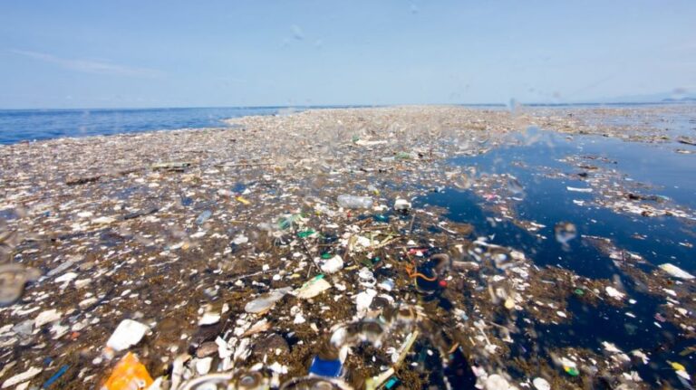Dampak Plastik Bagi Lingkungan